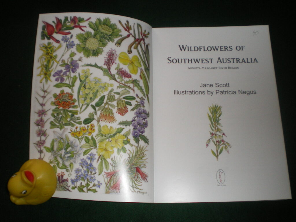 Wildflowers Of Southwest Australia by Jane Scott and Patricia Negus ...