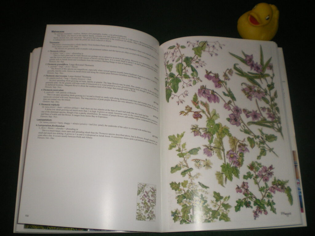 Wildflowers Of Southwest Australia by Jane Scott and Patricia Negus ...