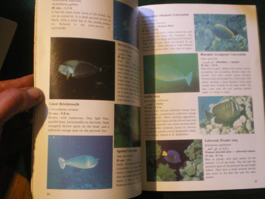 Aquarium Fish Mary Bailey Gina Sandford H/C VG | The Lost Knowledge ...